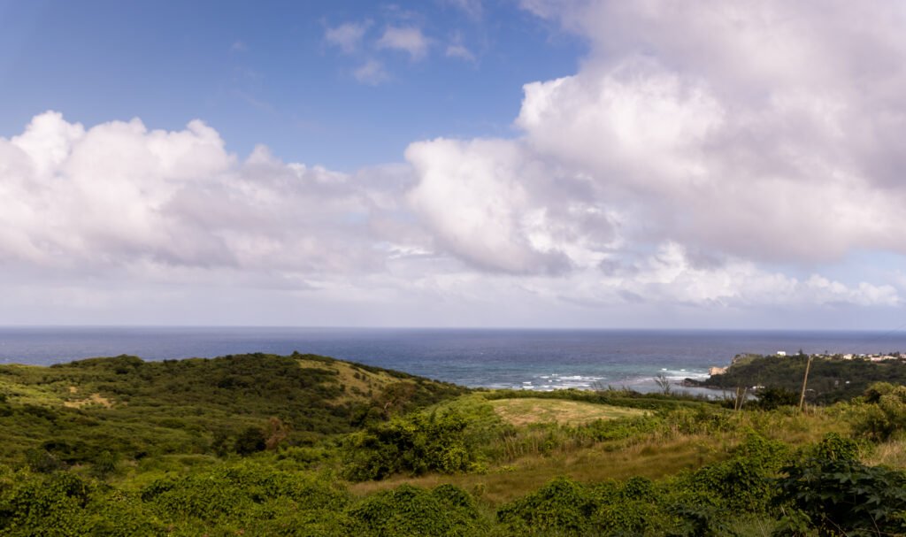 About Codrington Estates Development Company Limited Barbados